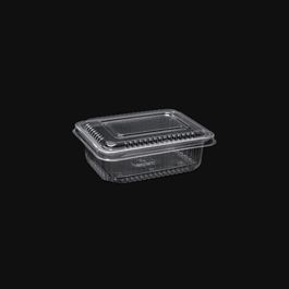 Plastic container | Transparent 250 ML Food Packaging container With Lid | Winnpack